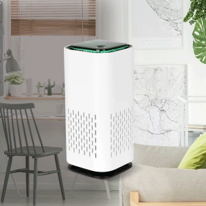 Top 5 Air Purifiers of 2025